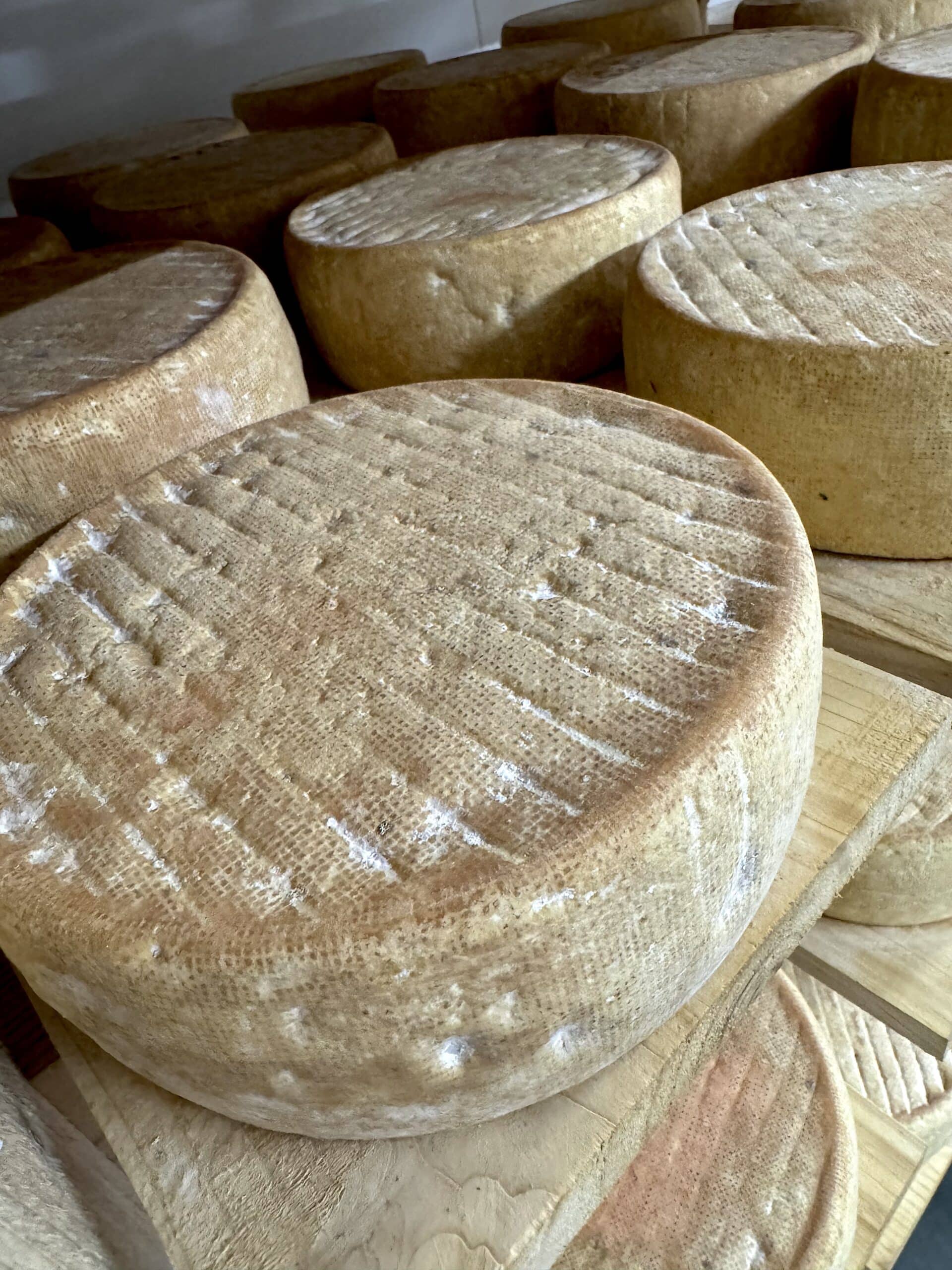 Tomme de Burdignes - Les 4 fermes
